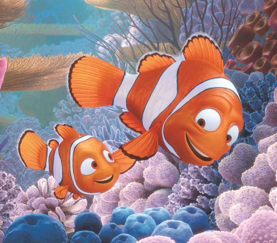 Cosas curiosas, que seguramente no sabías y ahora que las sabes te ...