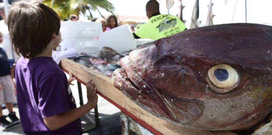 Celebran en Cabo Rojo el Festival del Pescao | El Nuevo Día